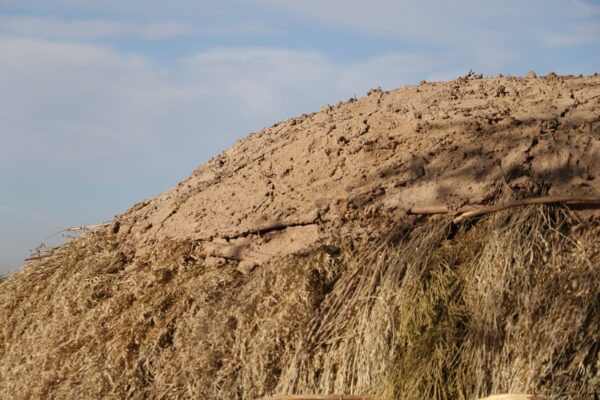 Hands-On Archaeology: How to Build a Pithouse