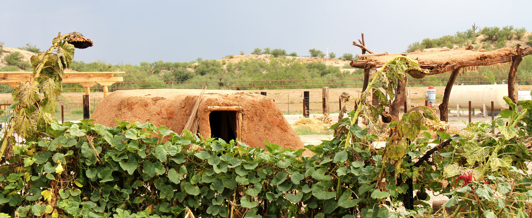 Who or What Is Hohokam?