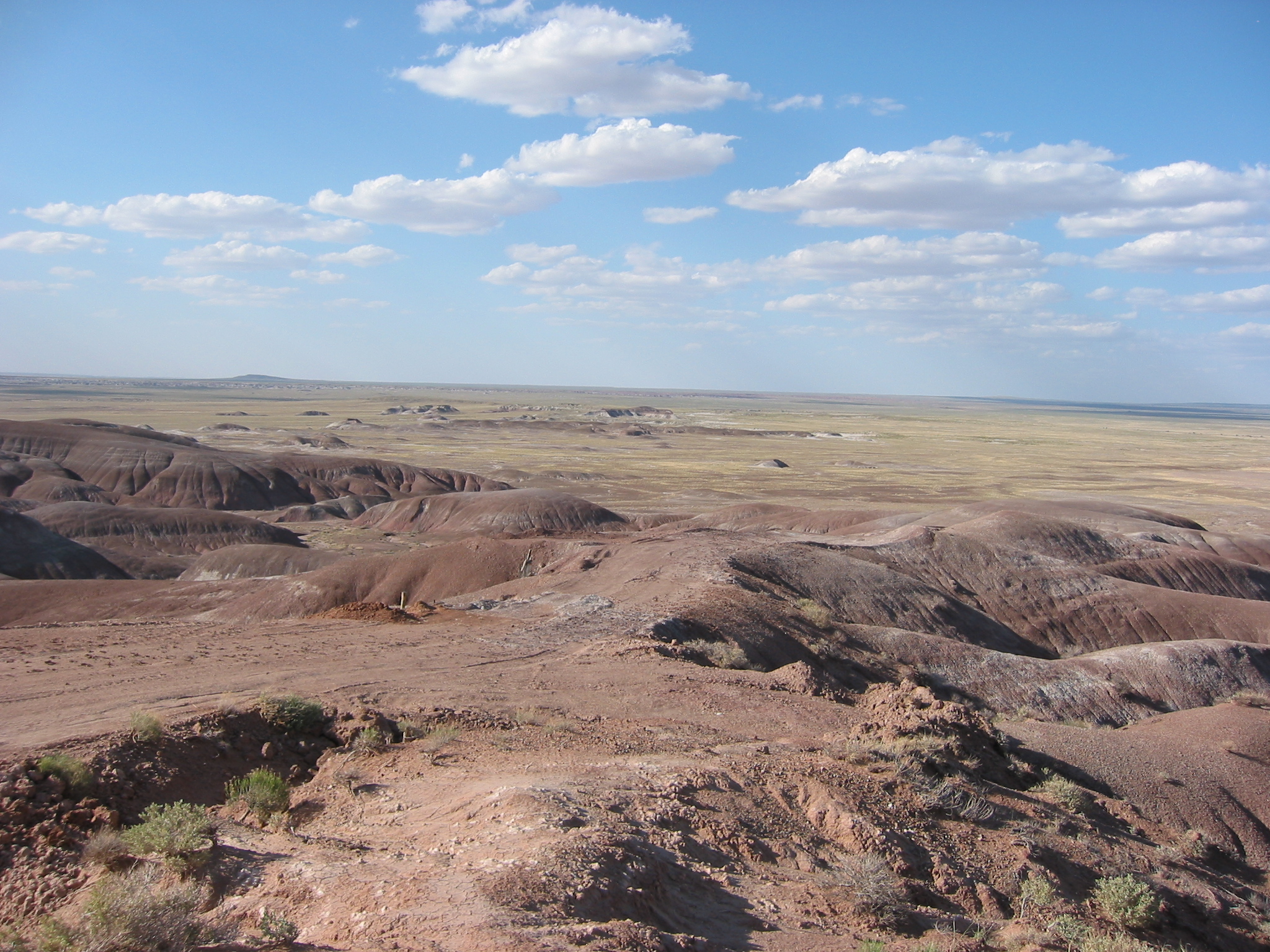 In Celebration of National Native American Heritage Month - Archaeology ...