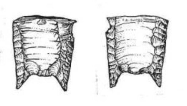 What’s the Point: Folsom Technology, 12,800 to 10,200 BP - Archaeology ...