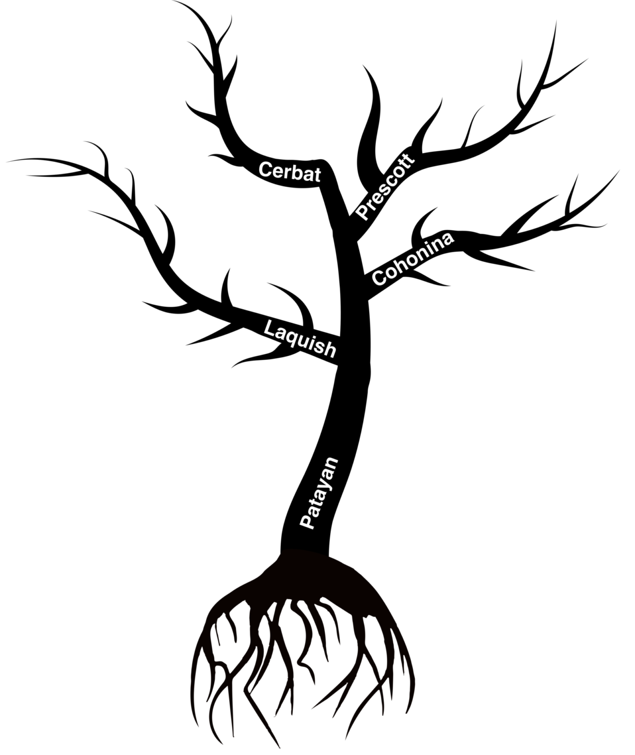 Life of the Gila: The Patayan World - Archaeology Southwest