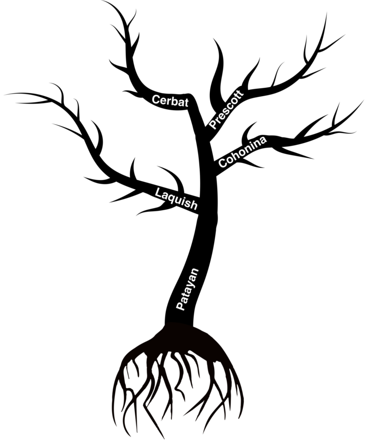 Life of the Gila: The Patayan World - Archaeology Southwest