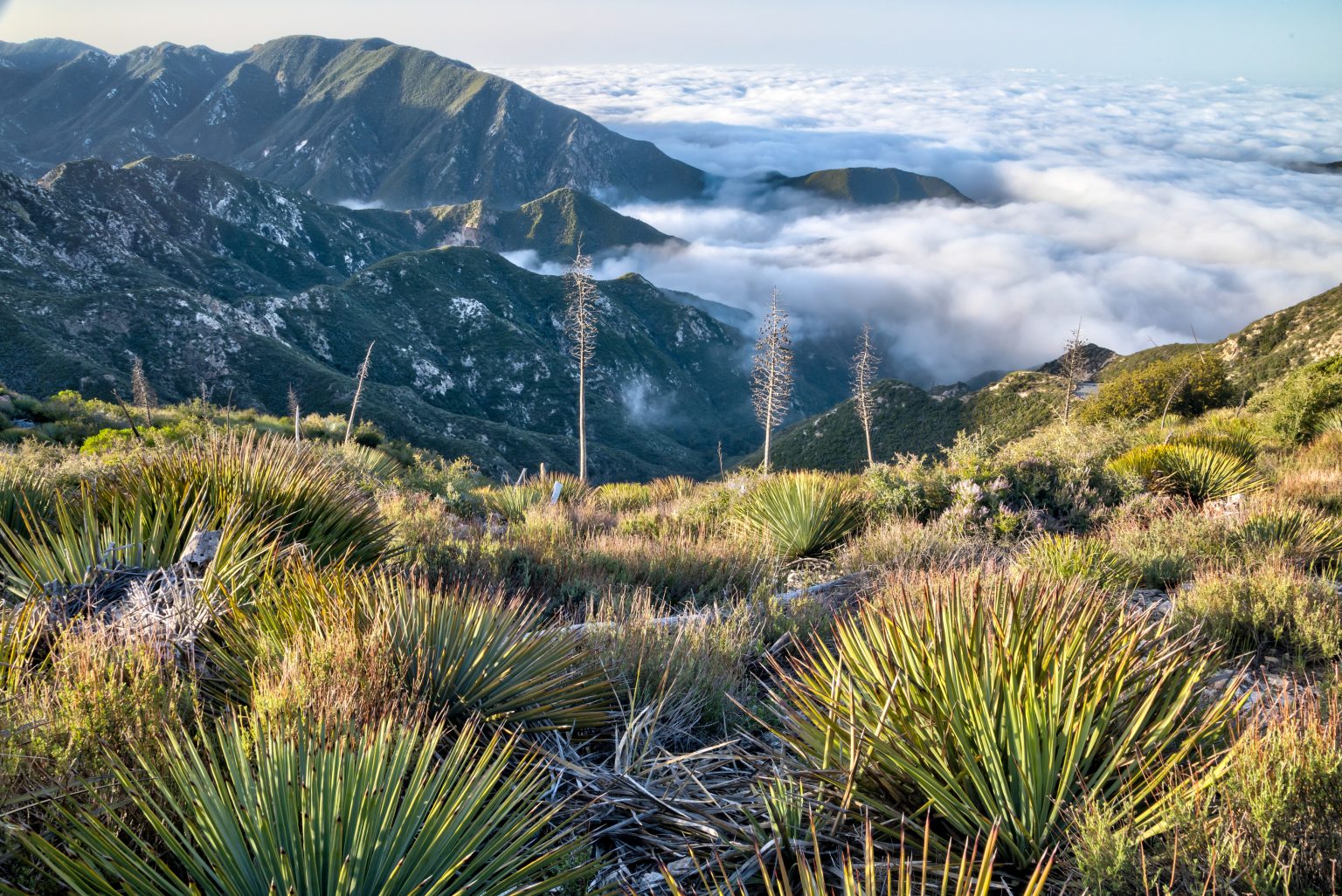 Why Expansion of San Gabriel Mountains National Monument Matters ...