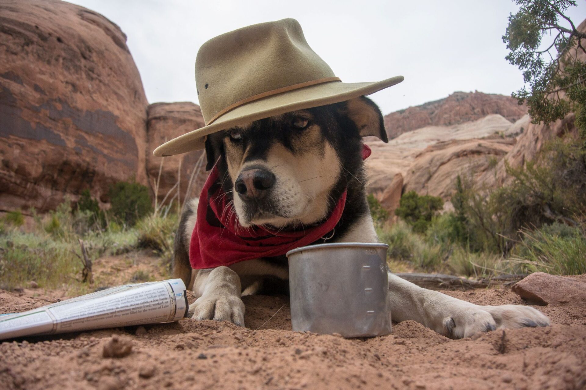 More than a Pet, Part 2 - Archaeology Southwest