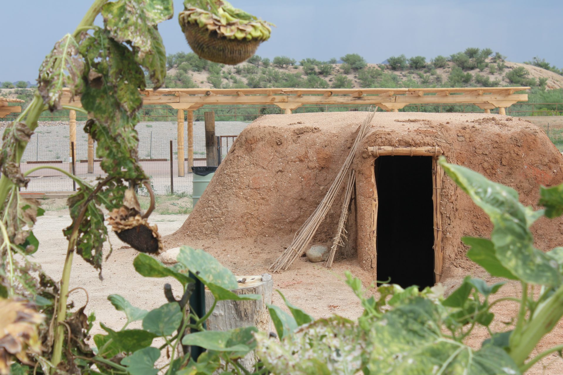 Second Saturday at Steam Pump Ranch - Archaeology Southwest