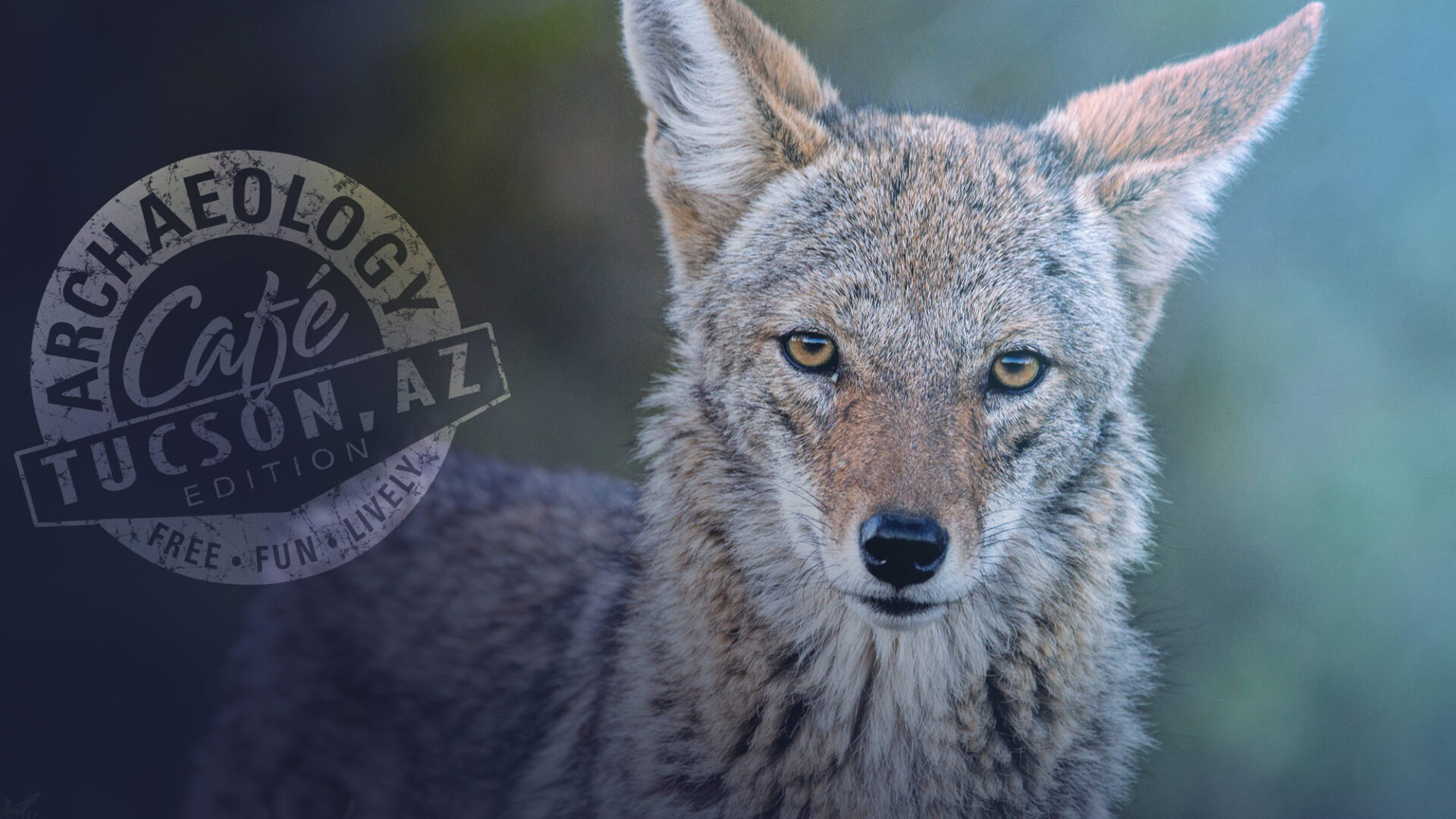 Celebrating the Song Dogs - Archaeology Southwest