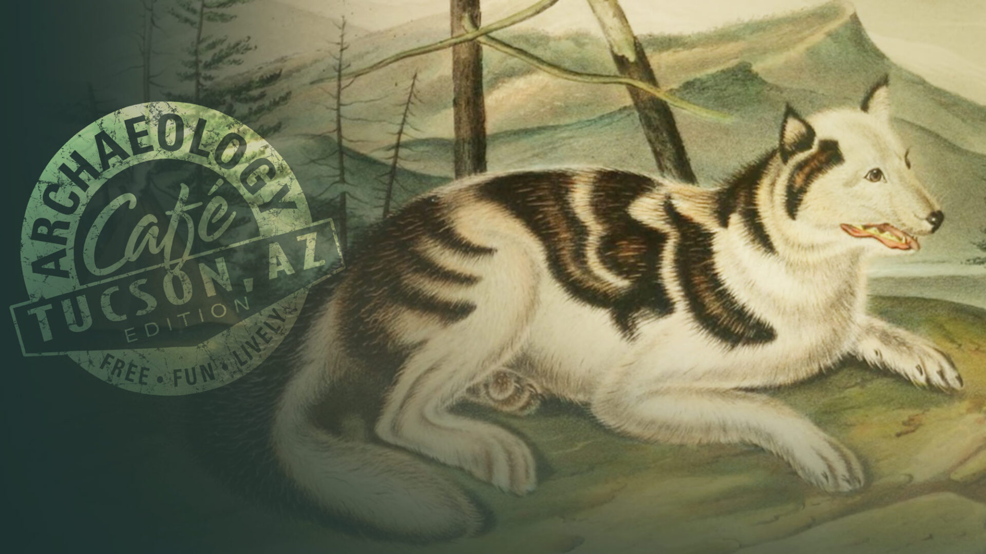 Connecting and Dividing: Dogs and European Colonists, Enslaved Africans ...